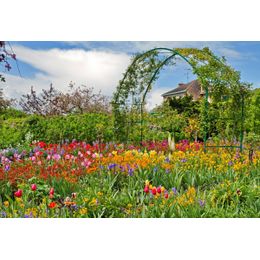 Fototapete papermoon "GARTEN MONET-BLUMEN B&Auml;UME PFLANZEN PARK STEINE BL&Uuml;TEN", bunt, B:5m L:2,8m, Vlies, Tapeten, Fototapete