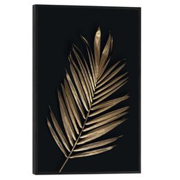 Poster Reinders "Areca Palmenblatt Gold", gold (farbe bild(er): gold), B:20cm H:30cm T:1,6cm, MDF, Bilder, Poster