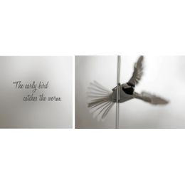 Leinwandbild queence "Early Bird", grau (farbe bild(er): grau), B:100cm H:40cm T:2cm, Canvas, Holzrahmen, Bilder, Leinwandbild, Premium-Leinwandstoff, Handarbeit aus Deutschland, Spruch, 2er Set