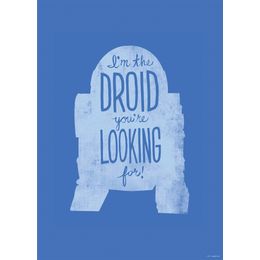 Bild Komar "Star Wars Silhouette Quotes R2D2", bunt (farbe bild(er): bunt), B:50cm H:70cm, Holz, Papier, Bilder, Bild, Wandbild zur Dekoration im Kinderzimmer - ohne Rahmen