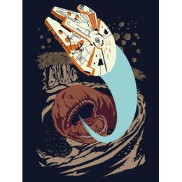 Bild Komar "Star Wars Classic Vector Asteroid Worm", bunt (farbe bild(er): bunt), B:30cm H:40cm, Holz, Papier, Bilder, Bild, Wandbild zur Dekoration im Kinderzimmer - ohne Rahmen