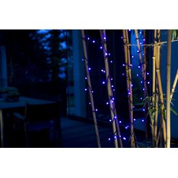 Konstsmide LED-Lichterkette "Weihnachtsdeko aussen", schwarz, Dioden 80 Stk. Flammen 80 Stk., Kabell&auml;nge 5m x Gesamtl&auml;nge 11,32m, Lichterketten, LED Globelichterkette, runde Dioden, 80 purpurfarbene Dioden, LED-Lichterkette