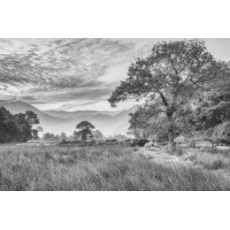 Fototapete papermoon "LANDSCHAFT-SCHWARZ WEI&szlig;NATUR B&Auml;UME BERGE GEBIRGE WALD", bunt, B:2m L:1,49m, Vlies, Tapeten, Fototapete