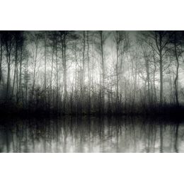 Leinwandbild queence "Der Nebel", grau (farbe bild(er): grau), B:90cm H:60cm, Holzrahmen, Leinwand, Bilder, Leinwandbild, Akustikbild mit sehr guten Schallabsorptions-Eigenschaften