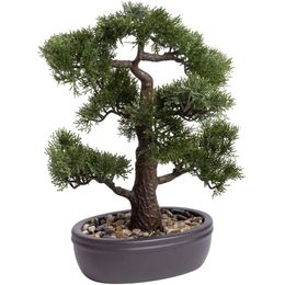 Kunstbonsai BOTANIC-HAUS "Ceder Bonsai", gr&uuml;n, B:35cm H:45cm T:35cm &Oslash;:35cm, Kunststoff, Kunstpflanzen, Kunstbonsai