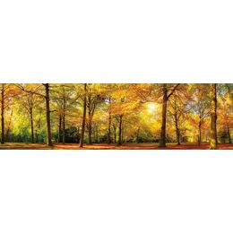 Fototapete papermoon "Autum Forrest Panorama", bunt, B:3,5m L:1m, Vlies, Tapeten, Fototapete