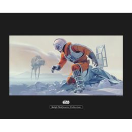 Bild Komar "Star Wars Classic RMQ Hoth Battle Pilot", bunt (farbe bild(er): bunt), B:50cm H:40cm, Holz, Papier, Bilder, Bild, Wandbild zur Dekoration im Kinderzimmer - ohne Rahmen