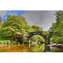 Fototapete papermoon "Br&uuml;cke im Wald", bunt, B:4,5m L:2,8m, Vlies, Tapeten, Fototapete