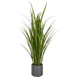 Kunstgras Creativ green "Grasbusch Miscanthus", gr&uuml;n, H:115cm, Kunststoff, Kunstpflanzen, Kunstgras, im eleganten Topf