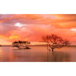 Fototapete papermoon "MANGROVE-B&Auml;UME WOLKEN GEBIRGE K&Uuml;STE BLUMEN SONNE WALD", bunt, B:3m L:2,23m, Vlies, Tapeten, Fototapete