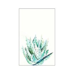 Bild Komar "Aloe Watercolor", bunt (farbe bild(er): bunt), B:50cm H:70cm, Holz, Papier, Bilder, Bild, Wandbild zur Dekoration - ohne Rahmen