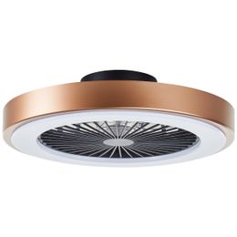 Brilliant LED Deckenleuchte "Slimline", gold (schwarz goldfarben), &Oslash; 49cm H: 14cm, 1 Stk., Leuchten, LED Deckenleuchte, Ventilator, ICRGB, CCT, 49 cm, 4700 lm, 3000-6500 K, LED Deckenleuchte