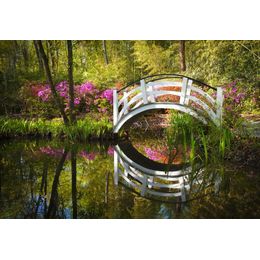 Fototapete papermoon "GARTEN-NATUR LANDSCHAFT WALD B&Auml;UME BLUMEN BR&Uuml;CKE SEE", bunt, B:3,5m L:2,6m, Vlies, Tapeten, Fototapete
