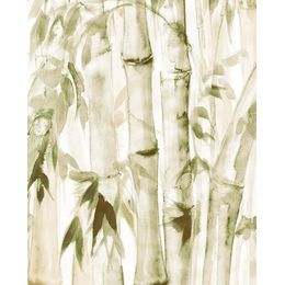 Bild Komar "Wild Bamboo", gr&uuml;n (farbe bild(er): gr&uuml;n, wei&szlig;), B:40cm H:50cm, Holz, Papier, Bilder, Bild, Wandbild zur Dekoration - ohne Rahmen