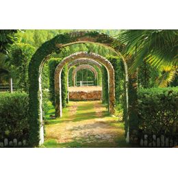 Fototapete papermoon "Pergola Garden", bunt, B:3,5m L:2,6m, Vlies, Tapeten, Fototapete