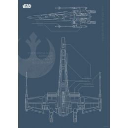Bild Komar "Star Wars Blueprint X-Wing", schwarz-wei&szlig; (farbe bild(er): schwarz, wei&szlig;), B:50cm H:70cm, Holz, Papier, Bilder, Bild, Wandbild zur Dekoration im Kinderzimmer - ohne Rahmen