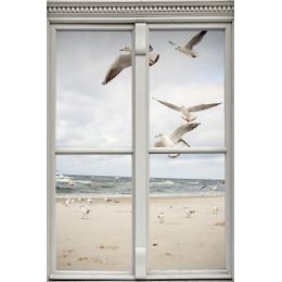 Wandsticker queence "M&ouml;wen am Strand", wei&szlig;, B:90cm H:60cm, Wandtattoos, Wandsticker, Wandsticker, Wandbild, selbstklebend, 3D, Fenster