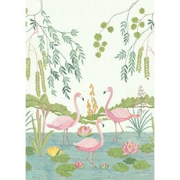 Vliestapete Komar "Digitaldruck Vlies - Flamingo Vibes - Gr&ouml;&szlig;e 200 x 280 cm", bunt, B:200m L:280m, Vlies, Tapeten, Vliestapete, Kinderzimmer