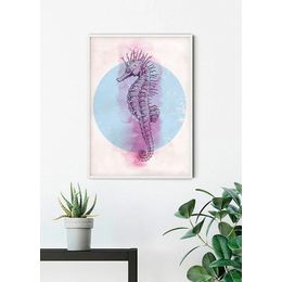 Bild Komar "Sea Horse Circle", bunt (farbe bild(er): bunt), B:40cm H:50cm, Holz, Papier, Bilder, Bild, Wandbild zur Dekoration - ohne Rahmen