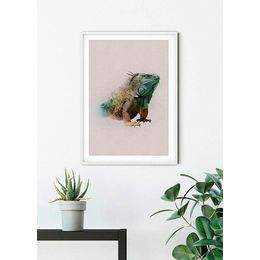 Bild Komar "Animals Paradise Iguana", bunt (farbe bild(er): bunt), B:50cm H:70cm, Holz, Papier, Bilder, Bild, Wandbild zur Dekoration - ohne Rahmen