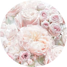 Fototapete Komar "Vlies selbstklebend - Pink and Cream Roses - Gr&ouml;&szlig;e 125 x 125 cm", rosa (rosa, wei&szlig;), B:125m L:125m, Vlies, Tapeten, Fototapete, Wohnzimmer, Schlafzimmer
