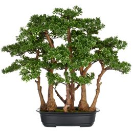 Kunstbonsai Creativ green "Bonsai Teeblatt", gr&uuml;n, B:60cm H:60cm, Kunststoff, Kunstpflanzen, Kunstbonsai, mit detailgetreuer Gestaltung