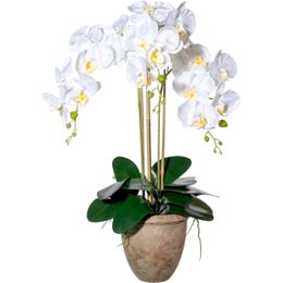Kunstorchidee Creativ green "Orchidee Phalaenopsis", wei&szlig;, H:75cm, Kunstpflanzen, Kunstorchidee, mit traumhaft sch&ouml;nen Bl&uuml;ten