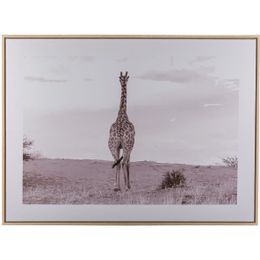 Bild mit Rahmen CREATIV HOME "Giraffe", schwarz-wei&szlig; (farbe rahmen: hellbraun, farbe bild(er): schwarz, wei&szlig;), B:80cm H:60cm T:2,5cm, Canvas, Kunststoff, Bilder, Bild mit Rahmen, mit schwarz-wei&szlig;em Motiv