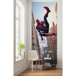 Kindertapete Komar "Marvel Spider-Man Swinging", bunt, B:100m H:250m, Vlies, Tapeten, Kindertapete