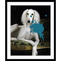 Bild queence "Hund mit Farbklecks", silber (farbe rahmen: schwarz, farbe bild(er): silber, rosa), B:50cm H:70cm, Acrylglas, Holz, Papier, Bilder, Bild, HD Premium Poster-Druck inkl. Holzrahmen