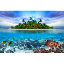 Fototapete papermoon "Marine Life Maldives", bunt, B:2,5m L:1,8m, Vlies, Tapeten, Fototapete