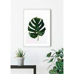Bild Komar "Monstera Leaf", gr&uuml;n (farbe bild(er): bunt), B:40cm H:50cm, Holz, Papier, Bilder, Bild, Wandbild zur Dekoration - ohne Rahmen