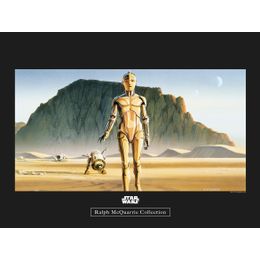 Bild Komar "Star Wars Classic RMQ Droids", bunt (farbe bild(er): bunt), B:40cm H:30cm, Holz, Papier, Bilder, Bild, Wandbild zur Dekoration im Kinderzimmer - ohne Rahmen