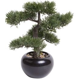 Kunstbonsai BOTANIC-HAUS "Ceder Bonsai", gr&uuml;n, B:32cm H:34cm T:32cm &Oslash;:32cm, Kunststoff, Kunstpflanzen, Kunstbonsai