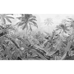 Vliestapete Komar "Digitaldruck Vlies - Amazonia Black & White - Gr&ouml;&szlig;e 400 x 250 cm", schwarz, B:400m L:250m, Vlies, Tapeten, Vliestapete, Wohnzimmer, Schlafzimmer