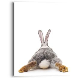 Wandbild Reinders "Wandbild Kaninchen Rabbit - Hase - Schwanz - Relax", wei&szlig; (farbe bild(er): wei&szlig;), B:40cm H:50cm, MDF, Bilder, Wandbild