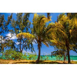 Fototapete papermoon "PALMEN-STRAND-KARIBIK S&Uuml;DSEE MEER D&Uuml;NEN SONNE OZEAN XXL", bunt, B:4,5m L:2,8m, Vlies, Tapeten, Fototapete