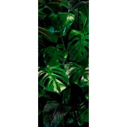 Vliestapete Komar "Digitaldruck Vlies - Tropical Wall Panel - Gr&ouml;&szlig;e 100 x 250 cm", gr&uuml;n, B:100m L:250m, Vlies, Tapeten, Vliestapete, Wohnzimmer, Schlafzimmer