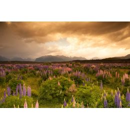 Fototapete papermoon "GEBIRGE-FLUSS SEE BERGE WALD HIMMEL BACH WIESE BLUMEN", bunt, B:2,5m L:1,86m, Vlies, Tapeten, Fototapete