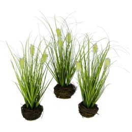 Kunstgras I.GE.A. "K&uuml;nstliches Gras 'Fuchsschwanz'", gr&uuml;n, B:10cm H:26cm L:10cm, Kunststoff, Kunstpflanzen, Kunstgras, Im Reisig-Nest, 3er Set
