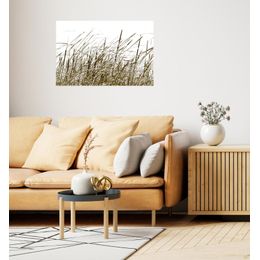 Wandsticker queence "Sylt", beige, B:150cm H:90cm T:0,1cm, Folie, Wandtattoos, Wandsticker, Selbstklebend, kinderleichte Anbringung