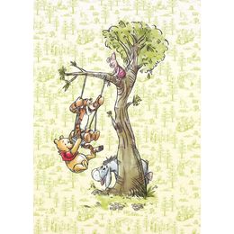Vliestapete Komar "Digitaldruck Vlies - Winnie the Pooh in the Wood - Gr&ouml;&szlig;e 200 x 280 cm", gelb (gelb, braun), B:200m L:280m, Vlies, Tapeten, Vliestapete, Kinderzimmer