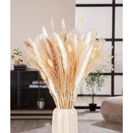 Dekoobjekt Gilde "B&uuml;ndel Trockenblume Seco naturfarben H. 53 cm", beige (naturfarben), B:10cm H:53cm T:10cm, sonstige Fasern, Dekofiguren, Dekoobjekt, Topseller
