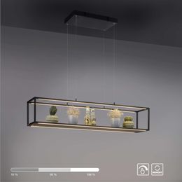 OTTO HOME LED Pendelleuchte "Civva H&auml;ngeleuchte inkl. Abstellfl&auml;che z.B. f&uuml;r Deko, Blumen, Gew&uuml;rze", schwarz, 4, H: 120cm, 1 Stk., Leuchten, warmwei&szlig;es Licht, 3000 K, 3-Stufen-Touchdimmer, Pendellampe, LED Pendelleuchte