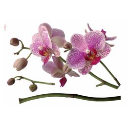 Wandtattoo Komar "Orchidee - Gr&ouml;&szlig;e 100 x 70 cm", lila, B:100cm H:100cm, Folie, Wandtattoos, Wandtattoo, selbstklebend, Wandsticker
