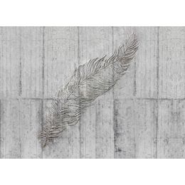 Vliestapete Komar "Digitaldruck Vlies - Concrete Feather - Gr&ouml;&szlig;e 350 x 250 cm", grau (grau, schwarz), B:350m L:250m, Vlies, Tapeten, Vliestapete, Wohnzimmer, Schlafzimmer