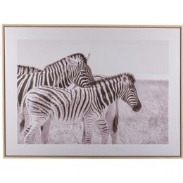 Bild mit Rahmen CREATIV HOME "Zebra", schwarz-wei&szlig; (farbe rahmen: hellbraun, farbe bild(er): schwarz, wei&szlig;), B:80cm H:60cm T:2,5cm, Papier, Bilder, Bild mit Rahmen, mit schwarz-wei&szlig;em Motiv
