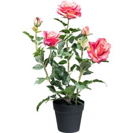 Kunstblume Creativ green "Rosenbusch", pink, H:58cm, Kunstpflanzen, Kunstblume, mit 3 Bl&uuml;ten und 2 Knospen