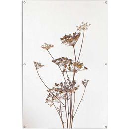 Poster Reinders "B&auml;renklau", beige (farbe bild(er): beige), B:80cm H:120cm T:0,1cm, Leinwand, Bilder, Poster, leichtes und wasserfestes Gartenposter f&uuml;r den Au&szlig;eneinsatz