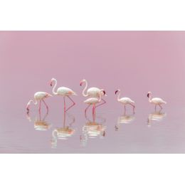 Fototapete papermoon "Photo-Art EIJI ITOYAMA, FLAMINGOS", bunt, B:4m L:2,6m, Vlies, Tapeten, Fototapete